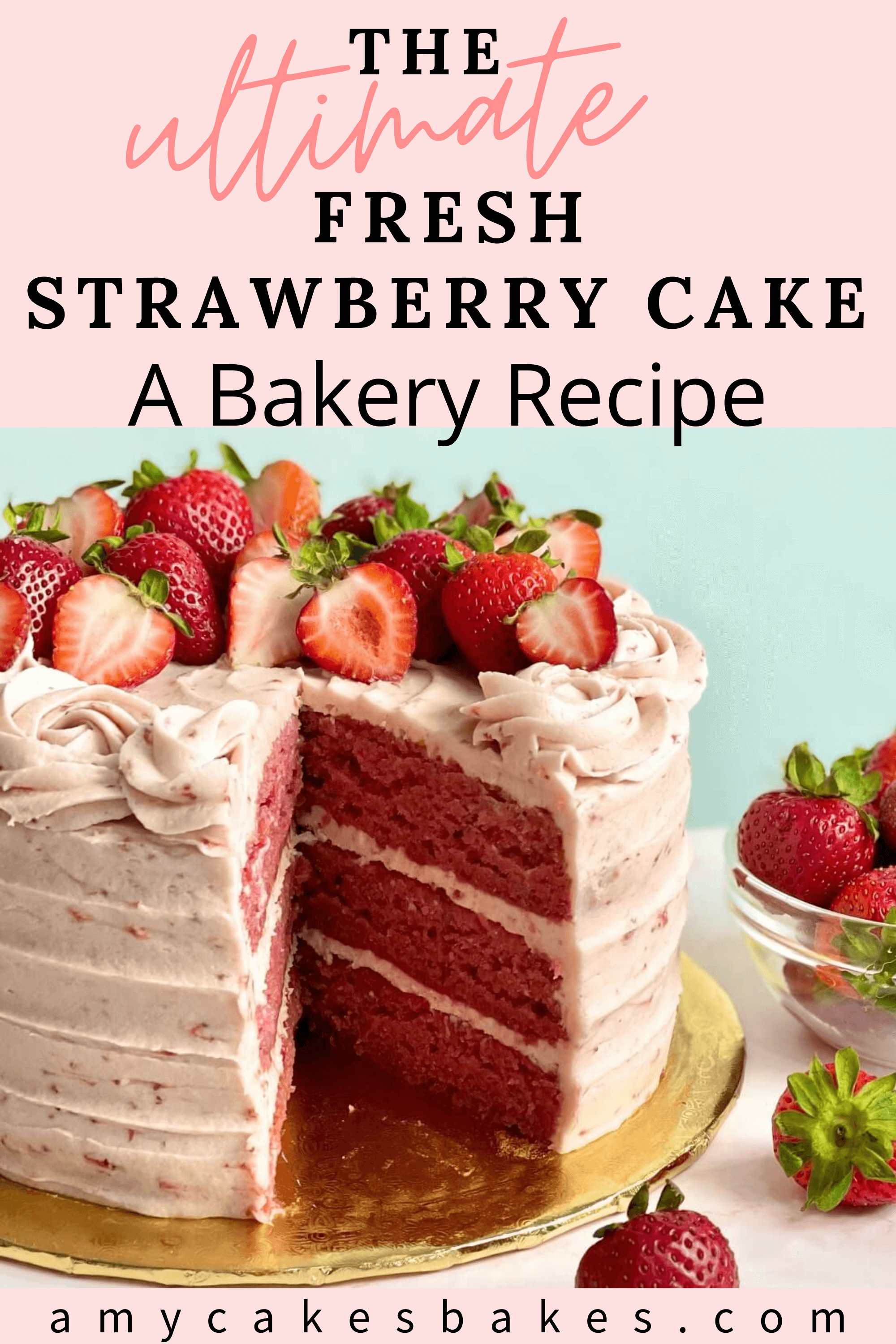 About Me - Amycakes Bakes