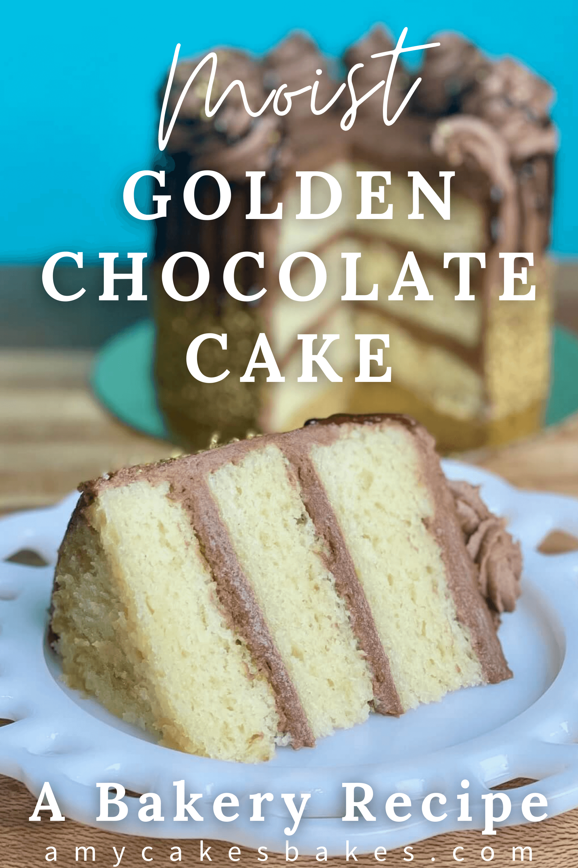 Bakery-Style Cakes - Amycakes Bakes