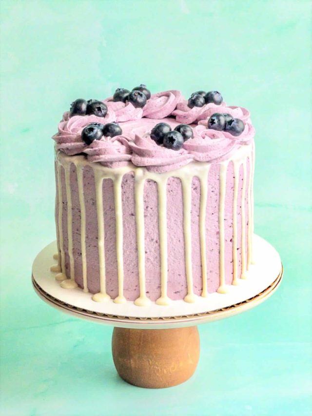 The Best Blueberry Layer Cake Story - Amycakes Bakes